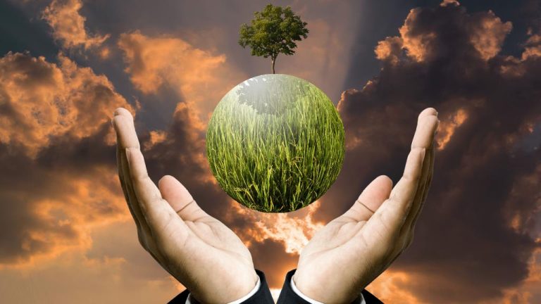 Environmentally Sustainable Work Practices - CPD Rise